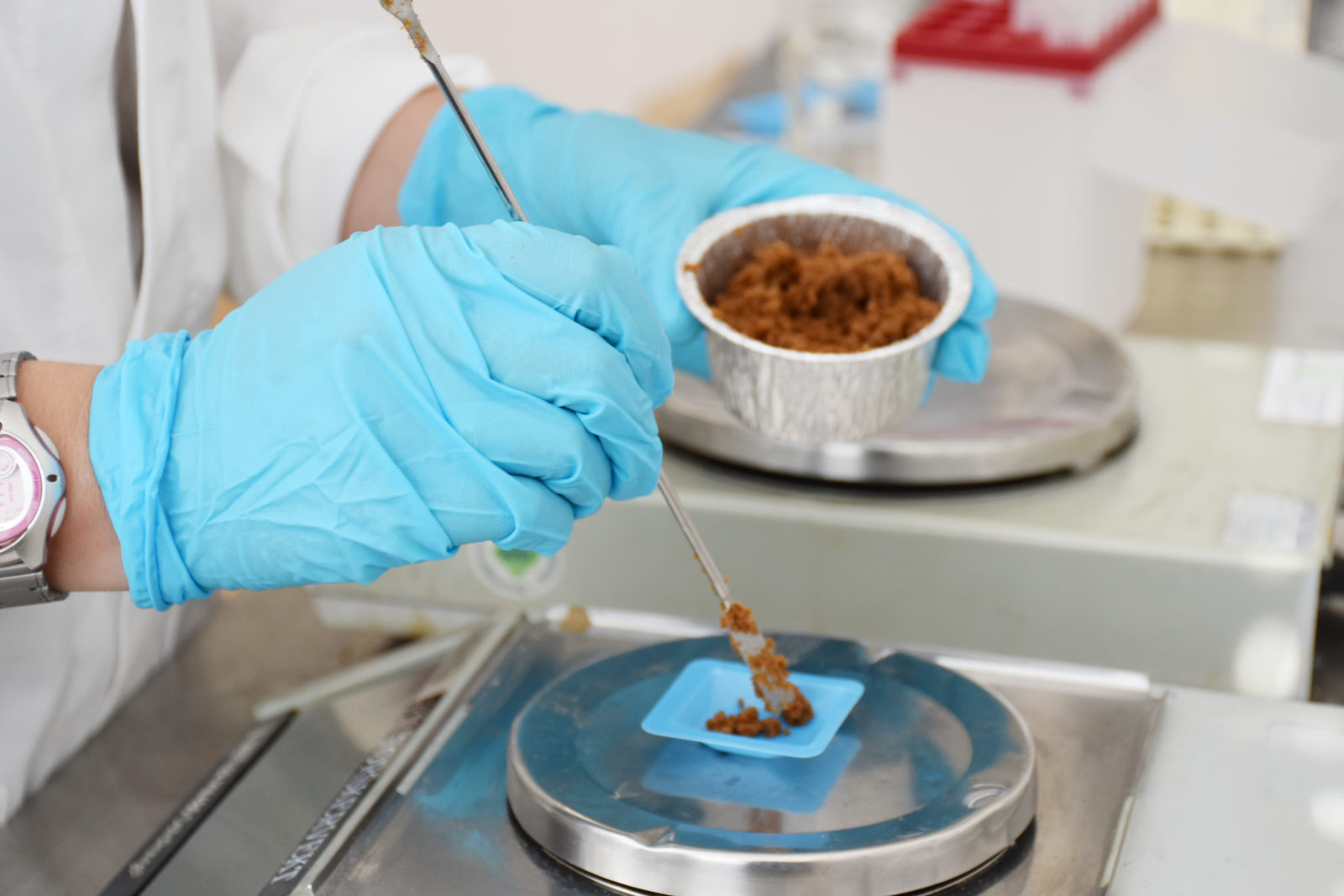 Rising food needs in the world require actions where science and ...